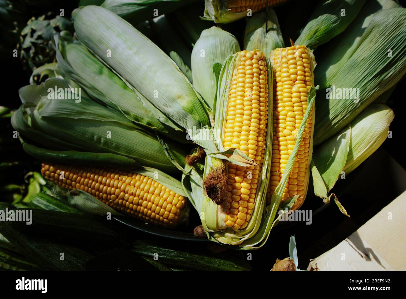 Golden Corn Cob sold at the market, horizontal Stock Photo - Alamy