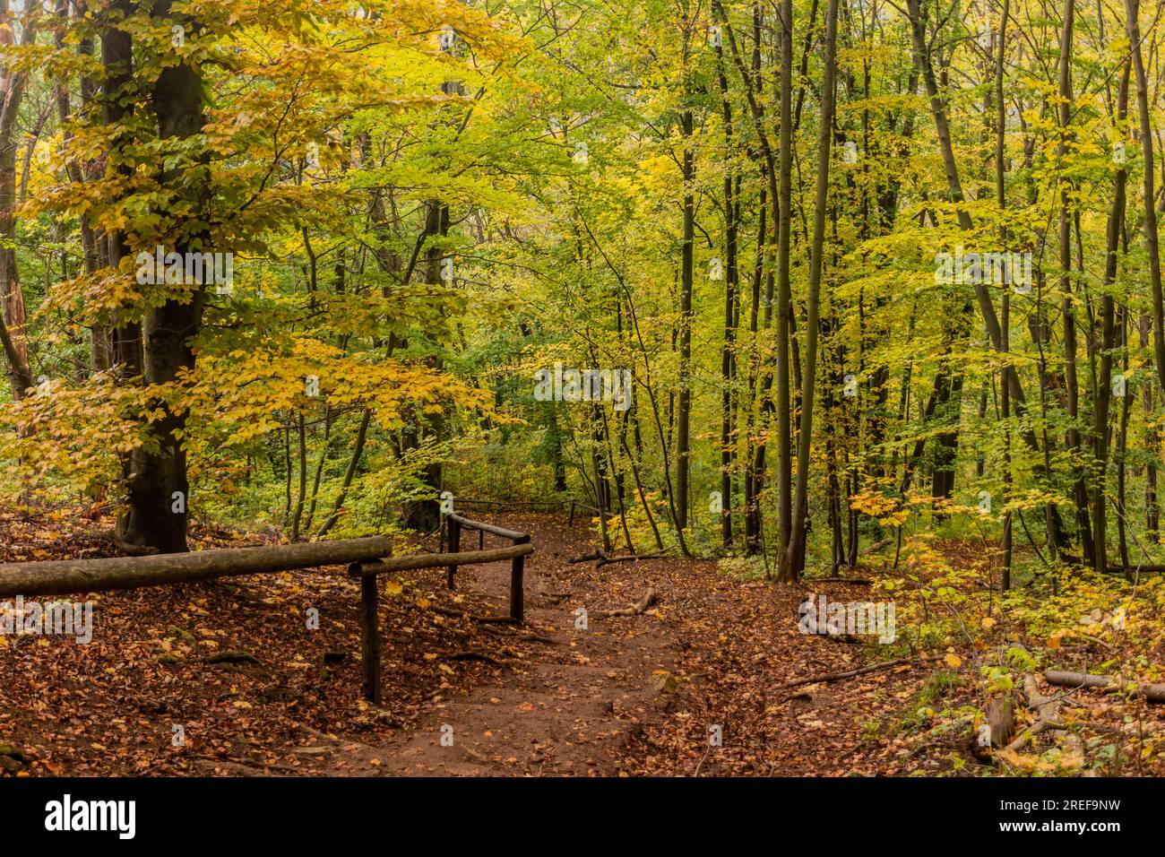 Hiking trail in Cesky kras nature protected area near Svaty Jan pod ...