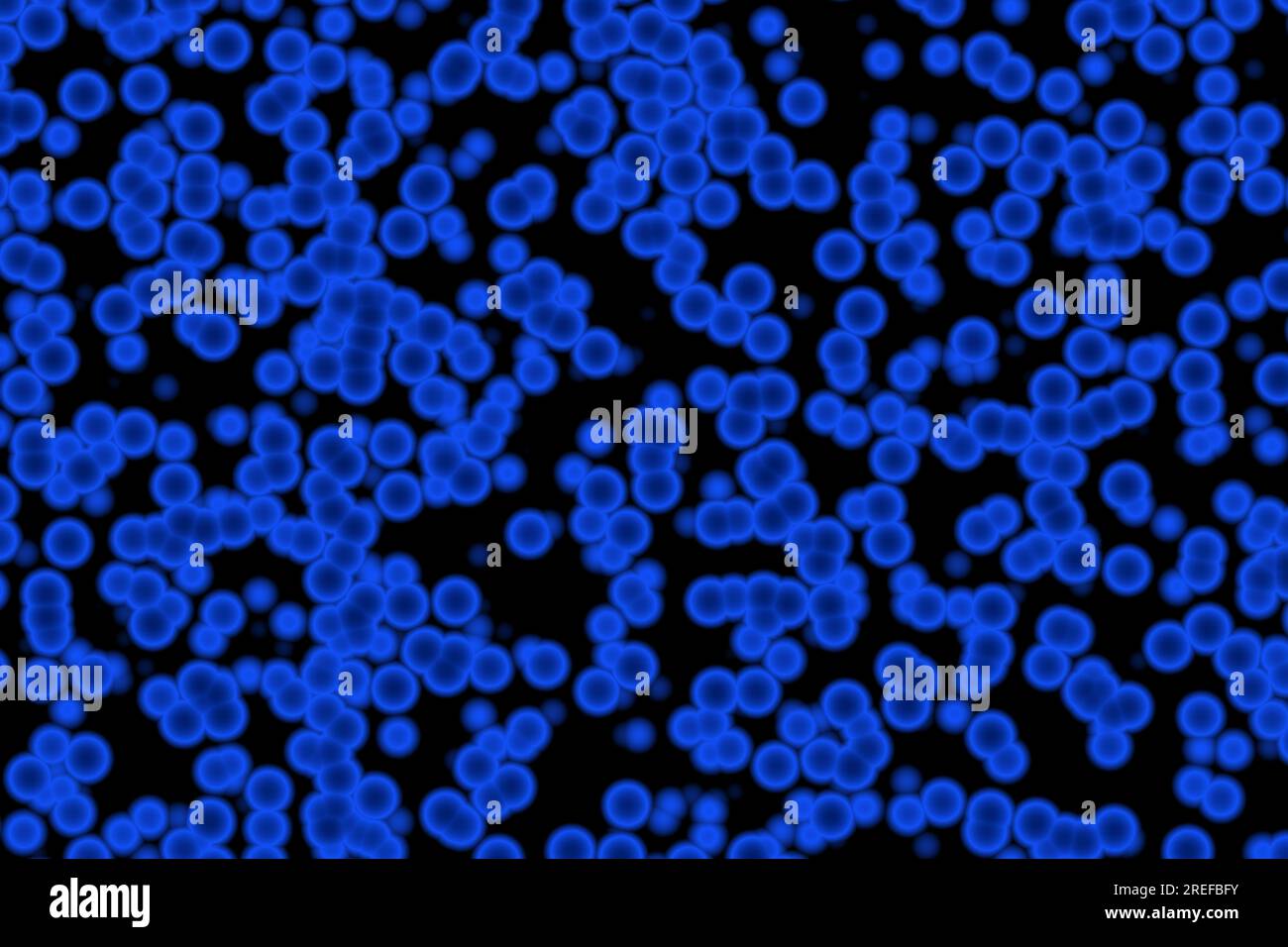 Staphylococci And Streptococci