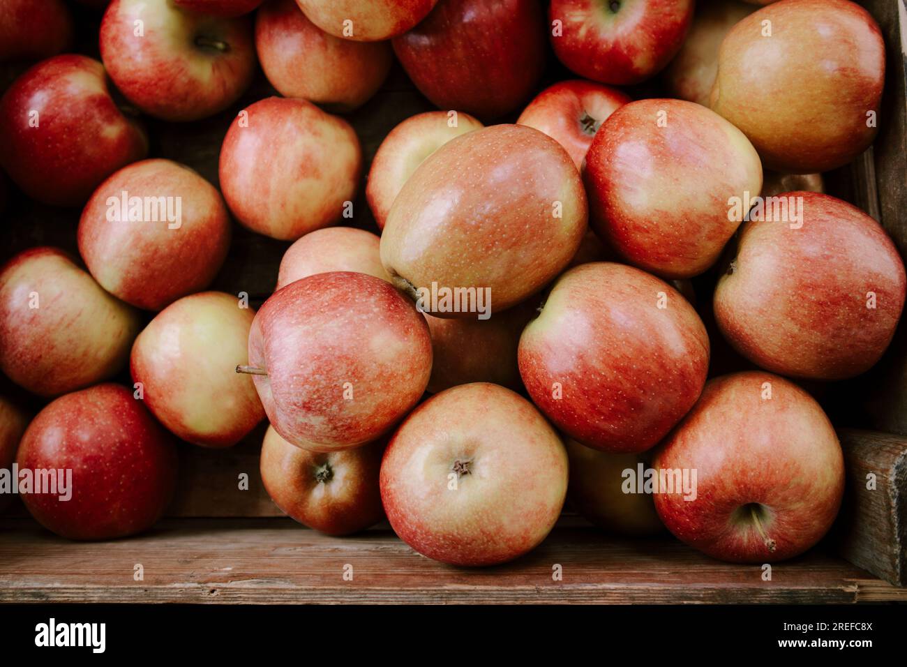 Red jonathan apples hi-res stock photography and images - Alamy
