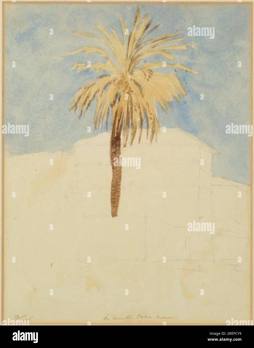On Monte Calio, Rome - Palm Tree - James Giles 1825 by James Giles ...