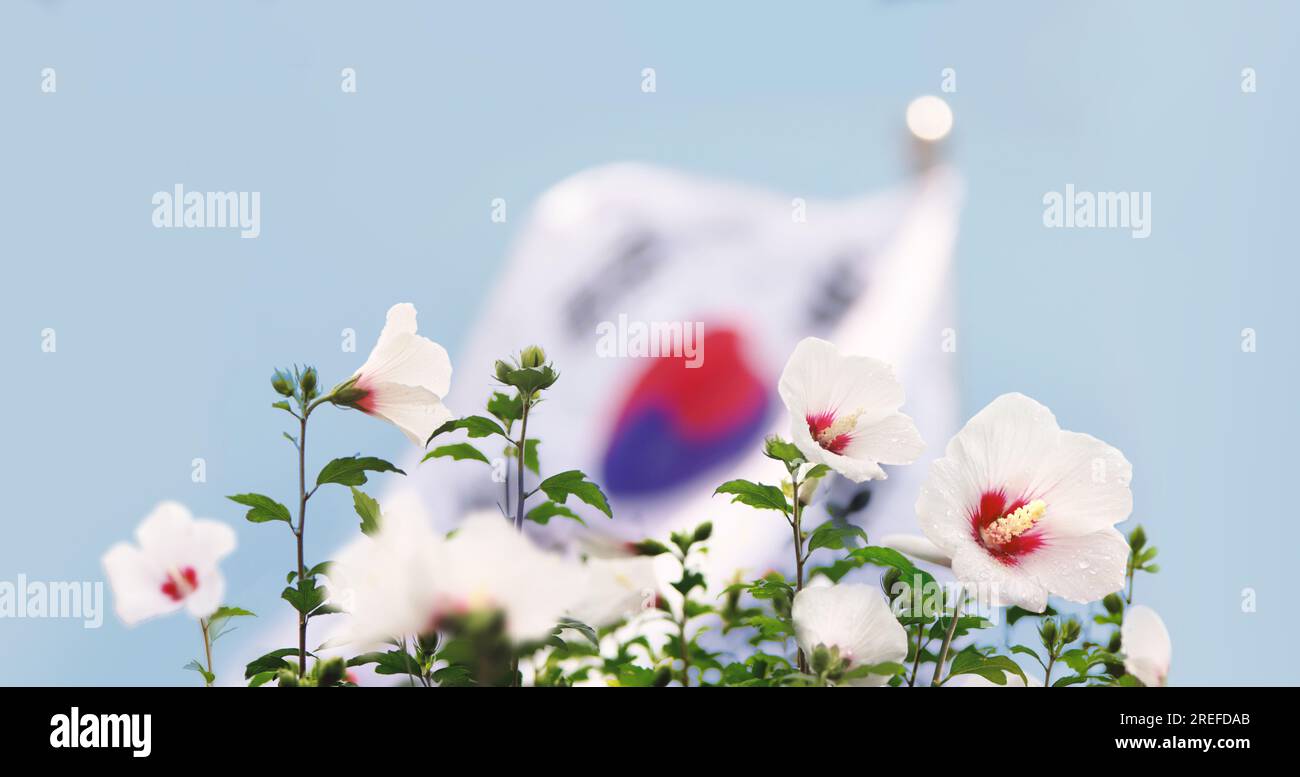 Blue sky Republic of Korea Taegeukgi and Mugunghwa flower and Samiljeol ...