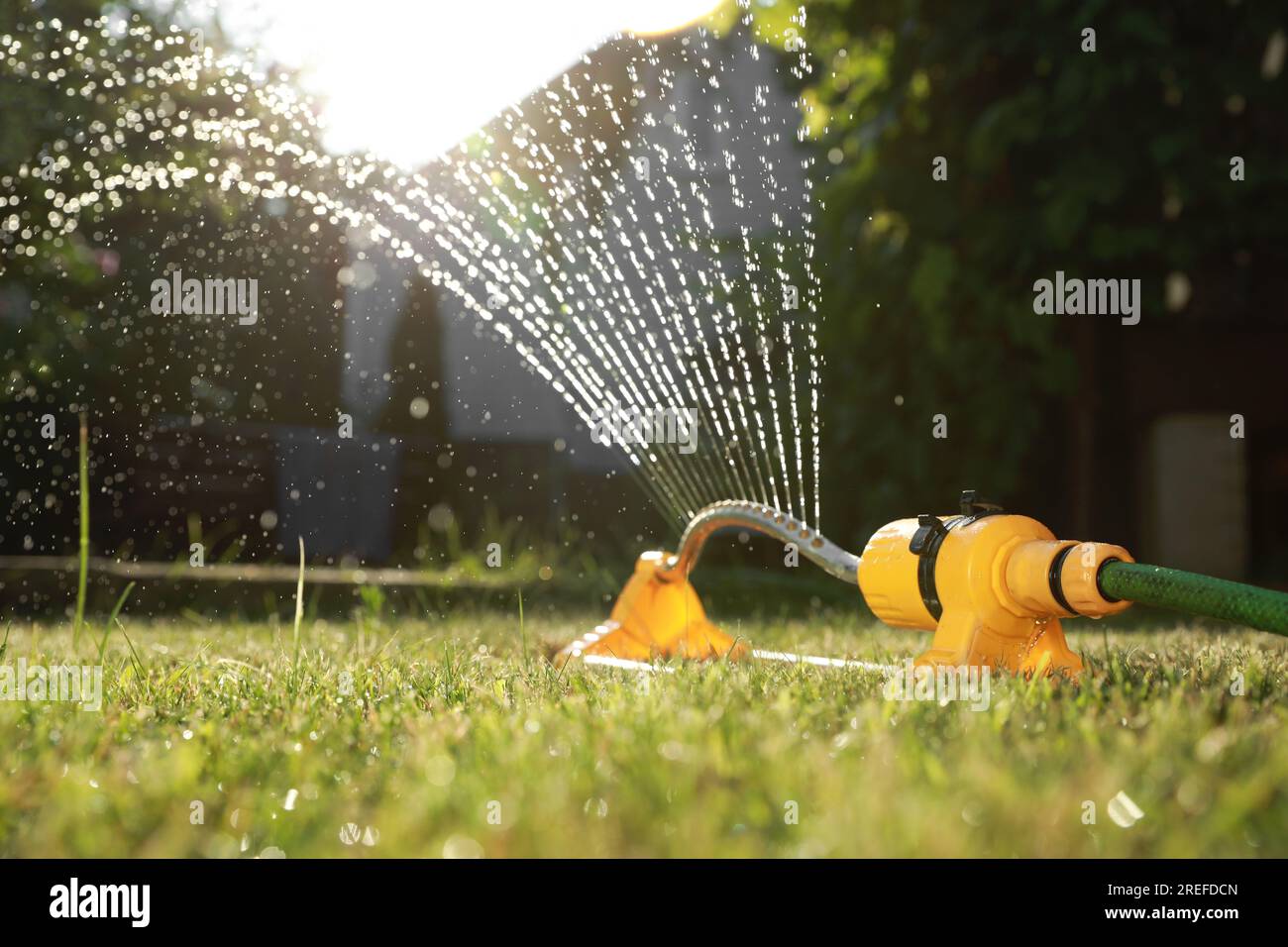 Automatic sprinkler watering green grass on sunny day in garden ...