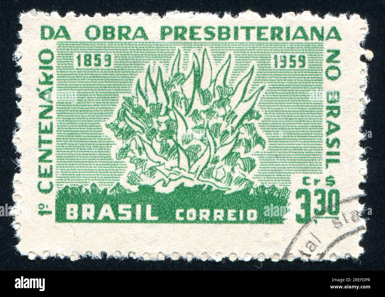 BRAZIL - CIRCA 1959: stamp printed by Brazil, shows Burning Bush, circa ...