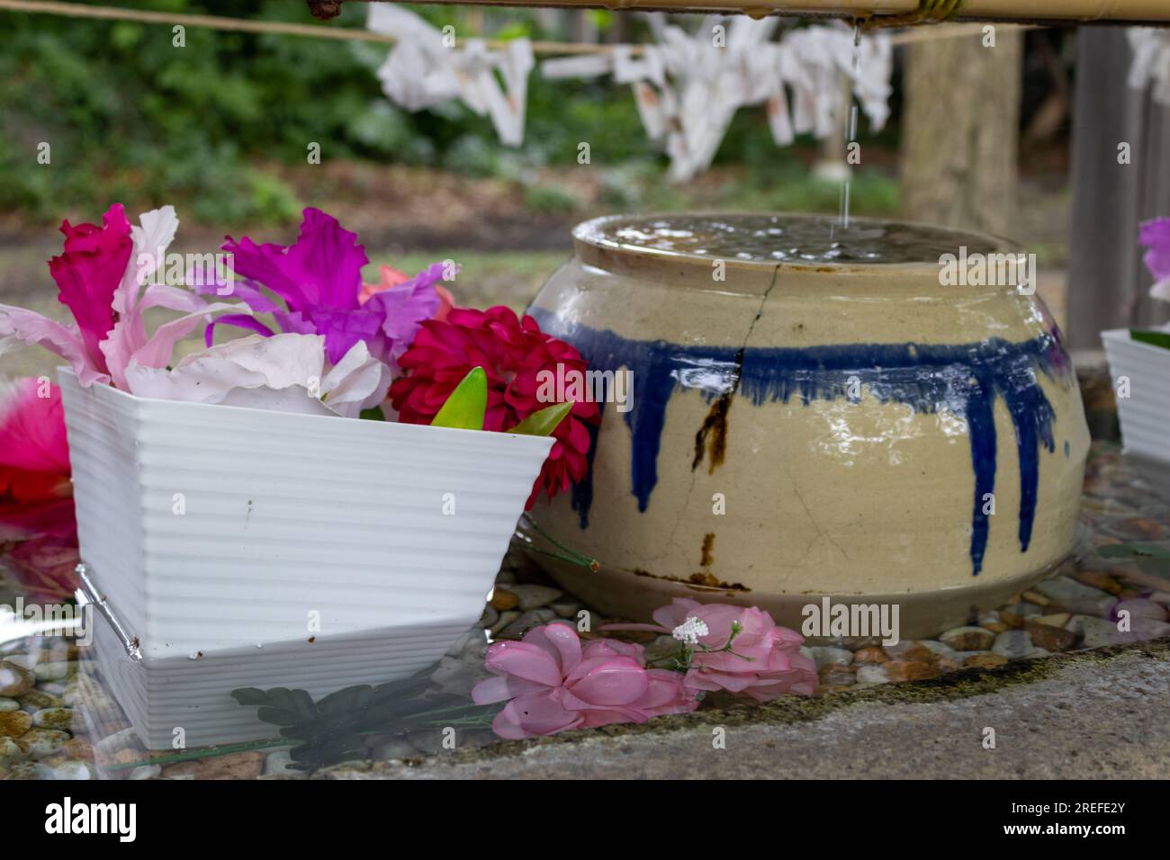Bowl and flowers at traditional washing basin at nakamura jinja shrine ...