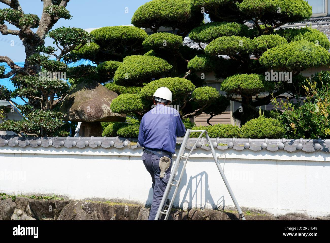 KAGAWA, JAPAN - JULY 24 2023: Japanese professional gardener pruning a ...