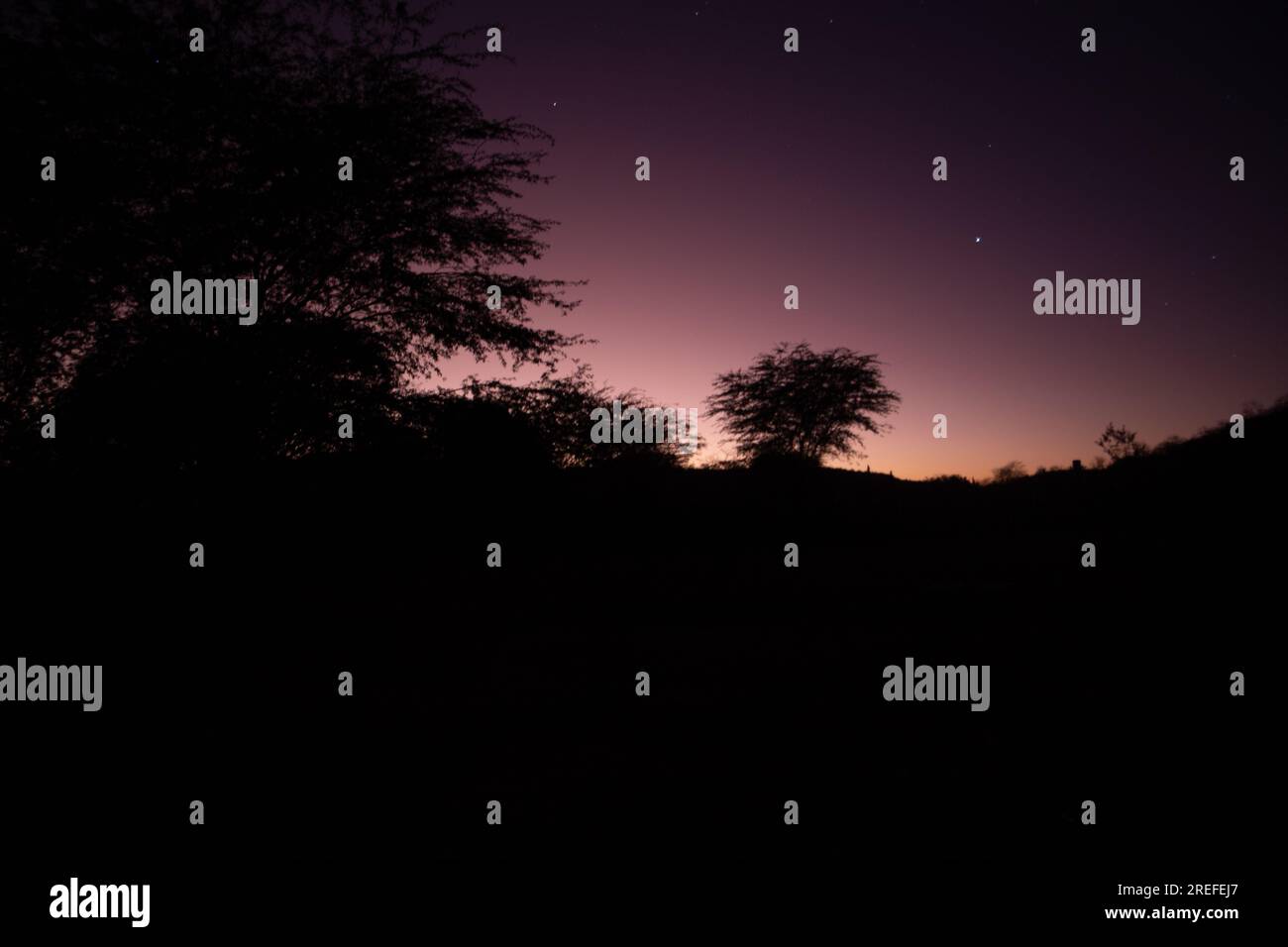 Canto do buriti hi-res stock photography and images - Alamy