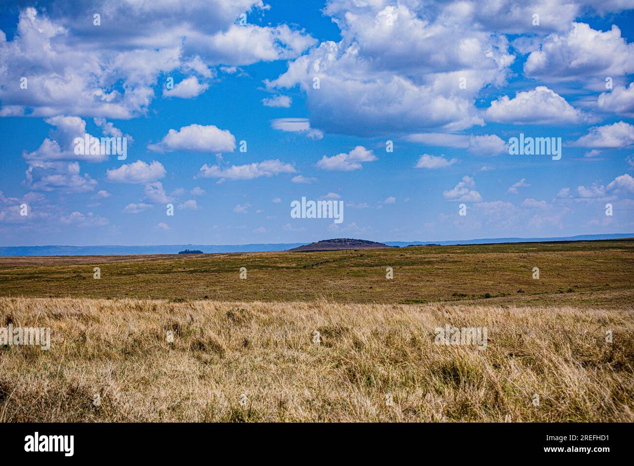 Maasai Mara National Reserve is an area of preserved savannah ...