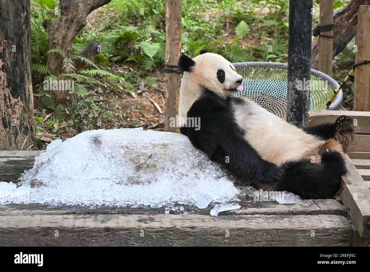 **CHINESE MAINLAND, HONG KONG, MACAU AND TAIWAN OUT** Cooling-off ...