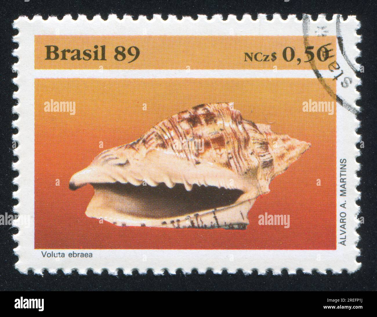 BRAZIL - CIRCA 1989: stamp printed by Brazil, shows seashell, circa ...