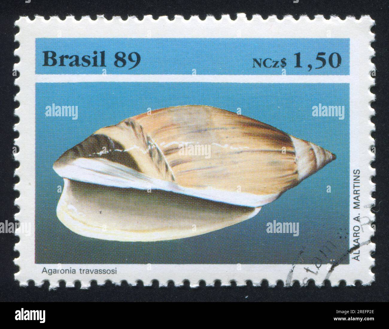 BRAZIL - CIRCA 1989: stamp printed by Brazil, shows seashell, circa ...