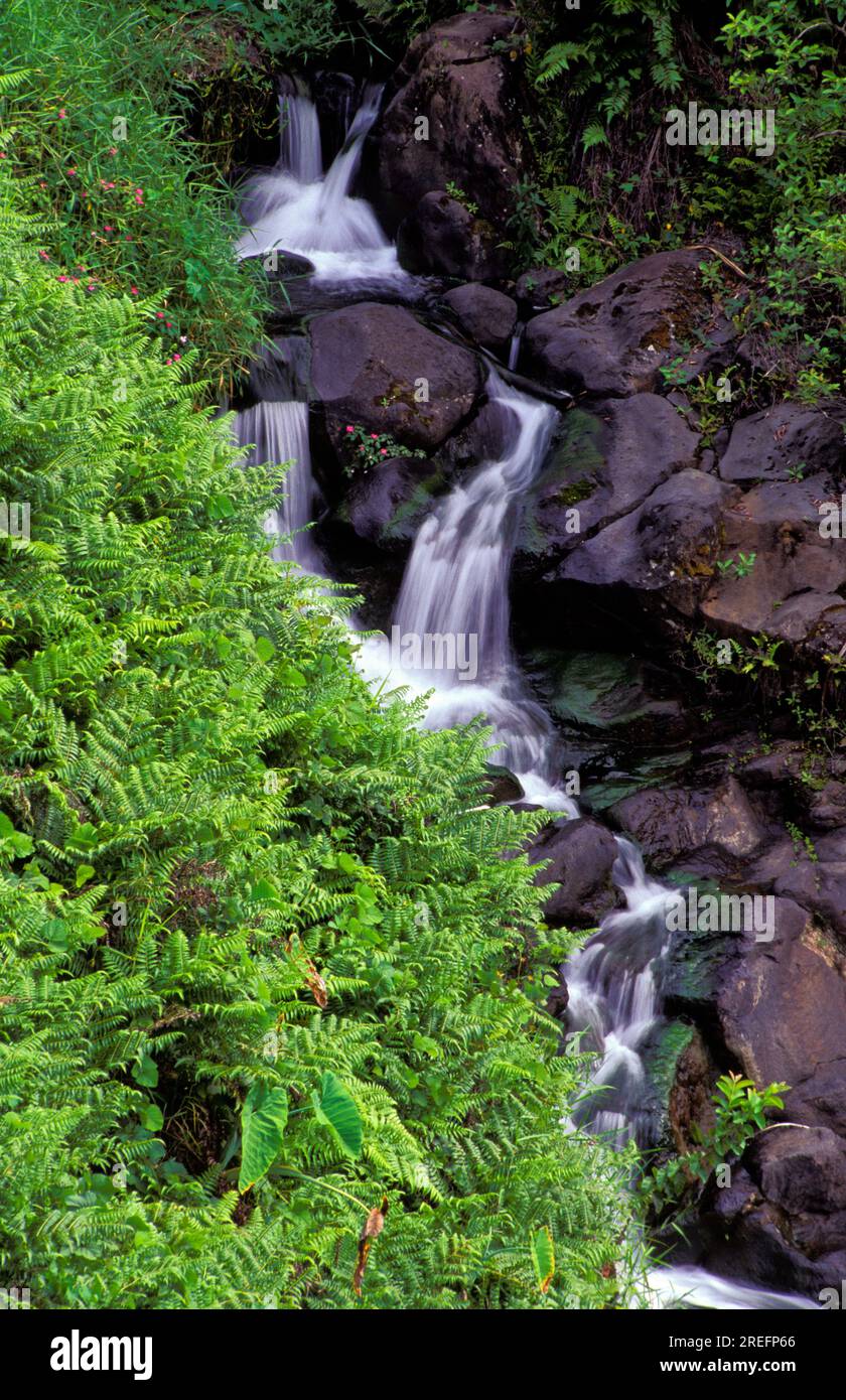 Beautiful cascading waterfalls over rocks surrounded with lush green ...
