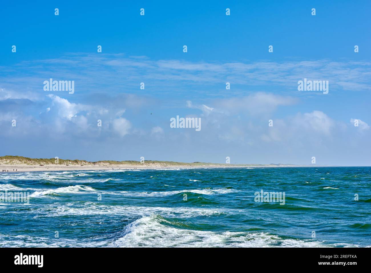 Denmark nature, countryside and environment. Nature in the Kingdom of ...