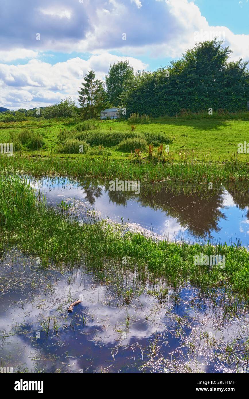 Denmark nature, countryside and environment. Nature in the Kingdom of ...