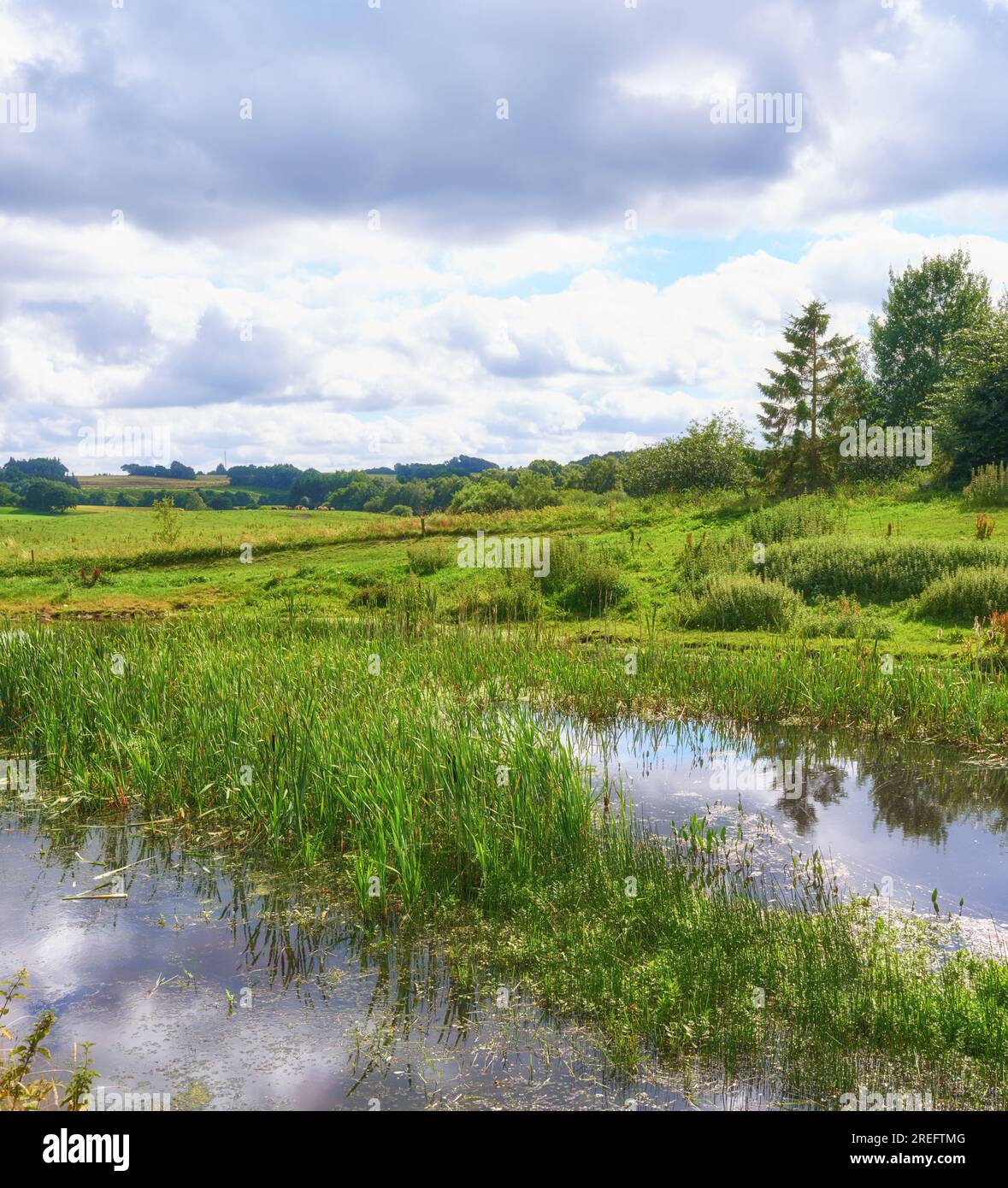 Denmark nature, countryside and environment. Nature in the Kingdom of ...