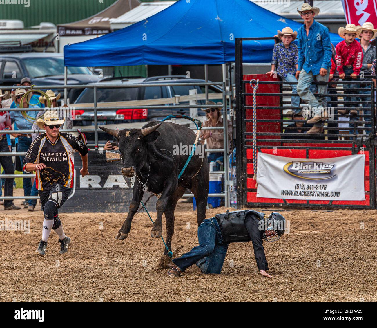 Ram rodeo alberta hi-res stock photography and images - Alamy
