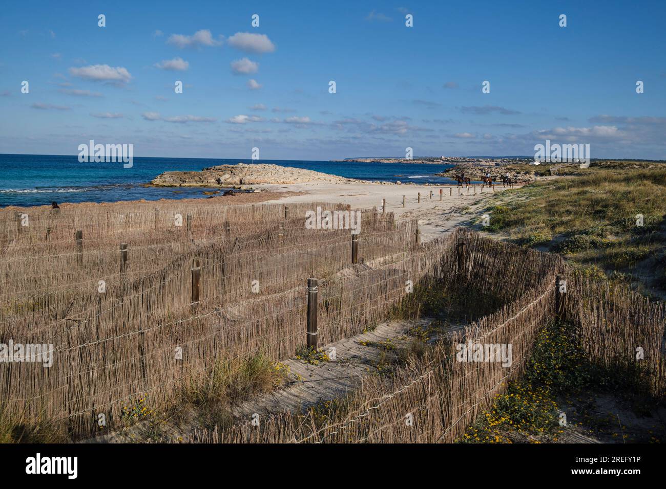 barriers for dune protection, Llevant beach, Formentera, Pitiusas ...