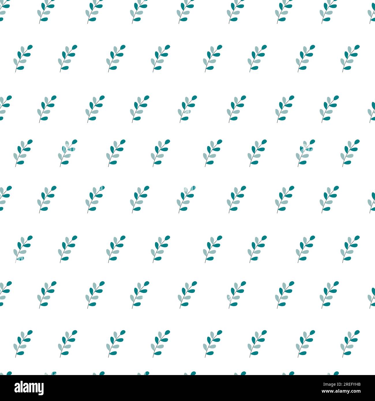 Evergreen flora and leafage, isolated branches and twigs with leaves ...