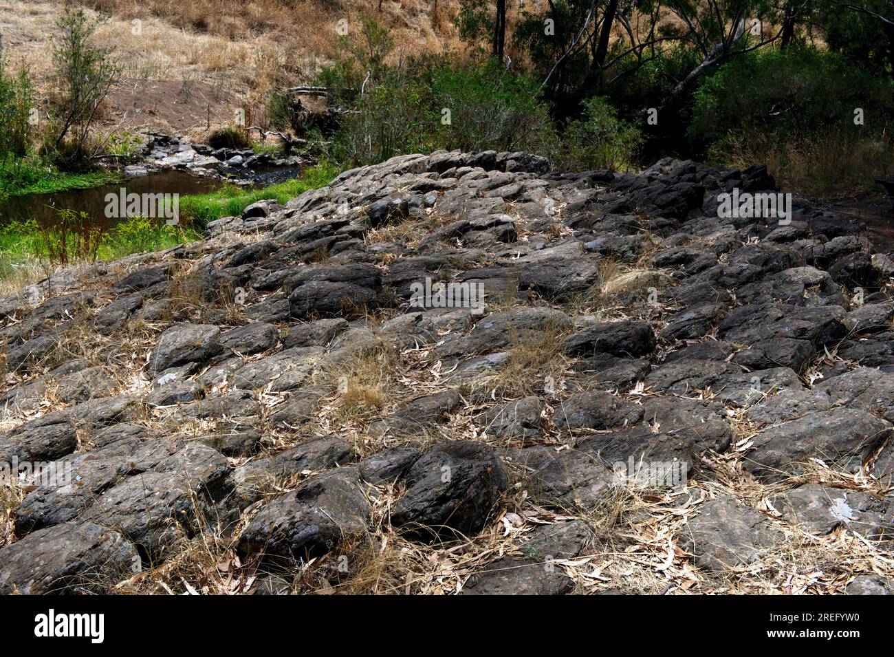 A rocky hillside in the Organ Pipes National Park in Victoria ...