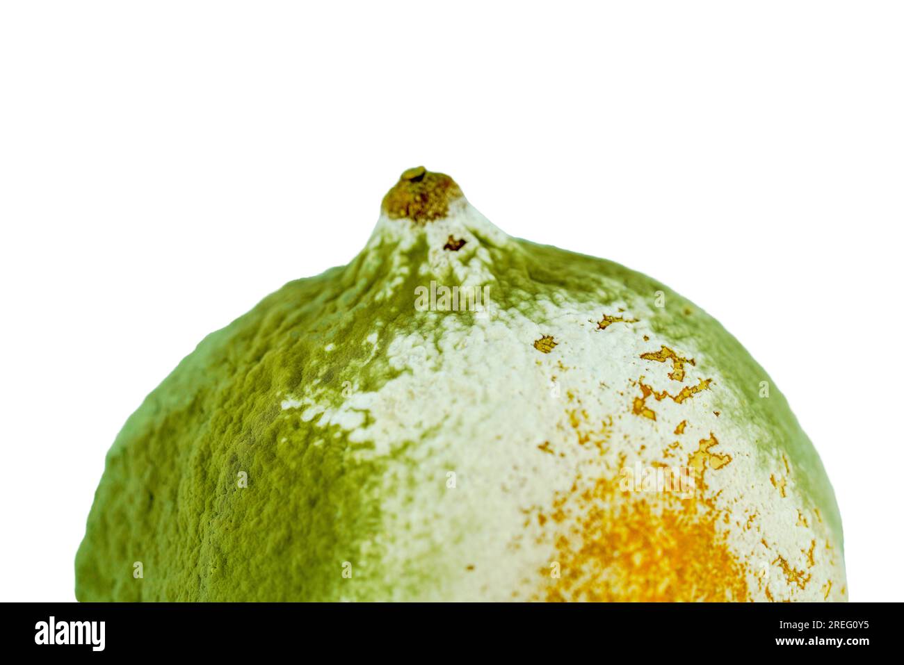 Objects Things Different Isolated Against White Background Stock Photo ...