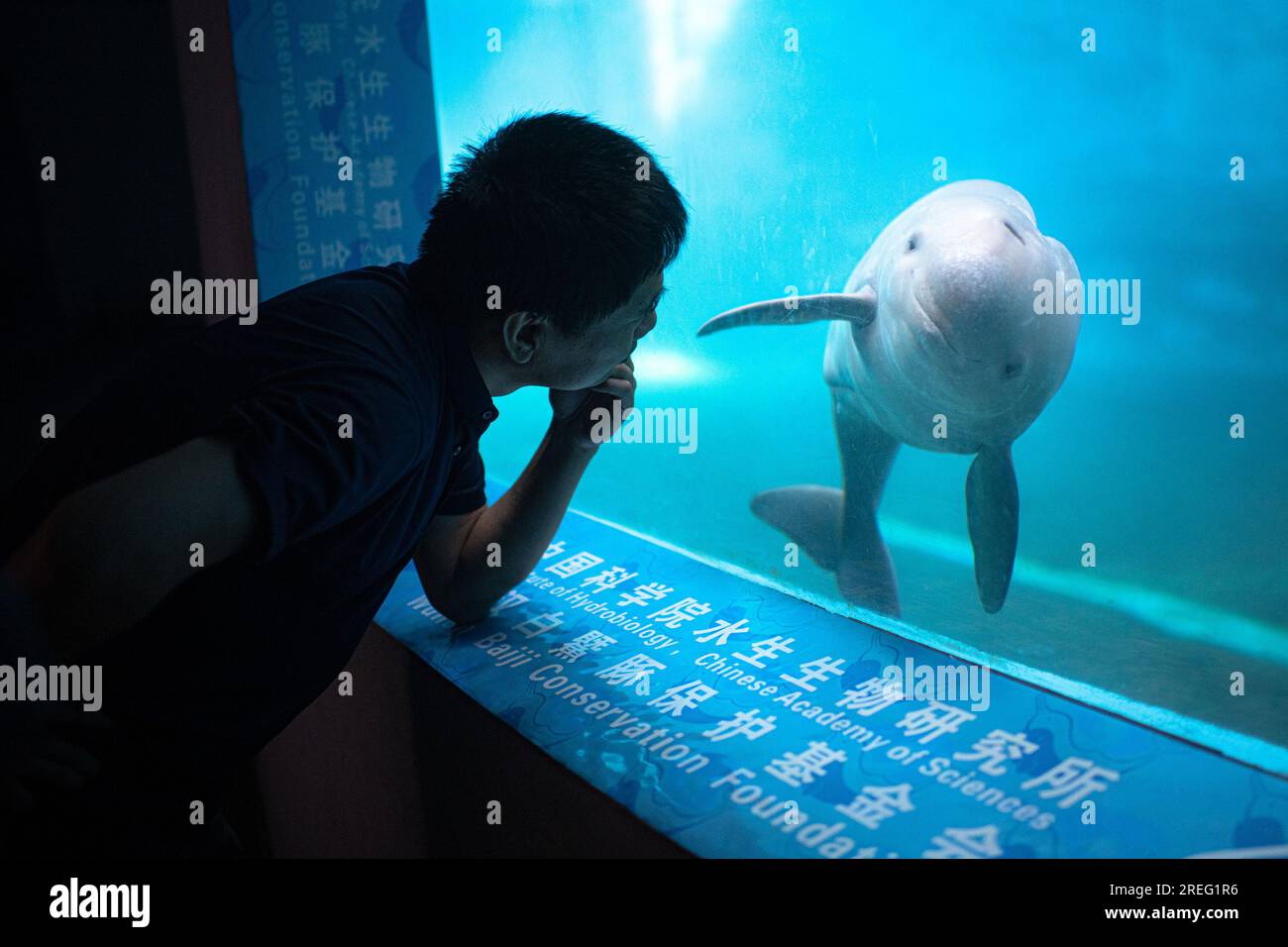 (230727) -- WUHAN, July 27, 2023 (Xinhua) -- Hao Yujiang, an associate ...