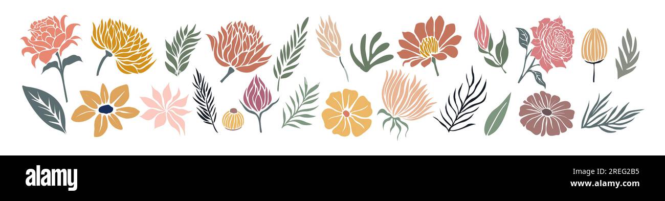 Set of hand drawn floral design elements vector Stock Vector Image ...