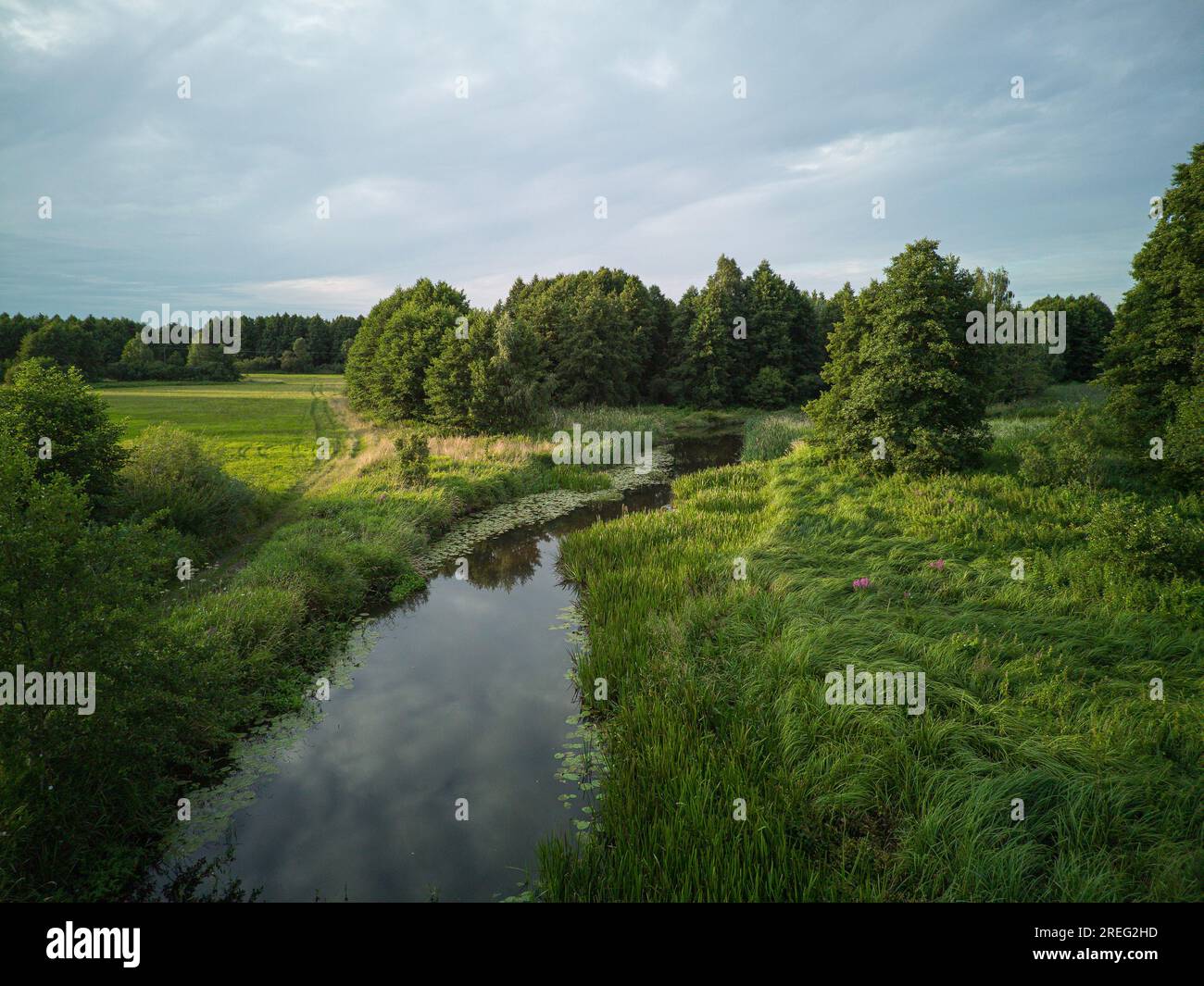 The small winding river Grabia in central Poland Stock Photo - Alamy
