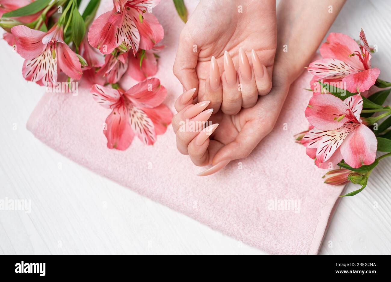 Elegant pastel pink natural manicure. Female hands with flowers ...