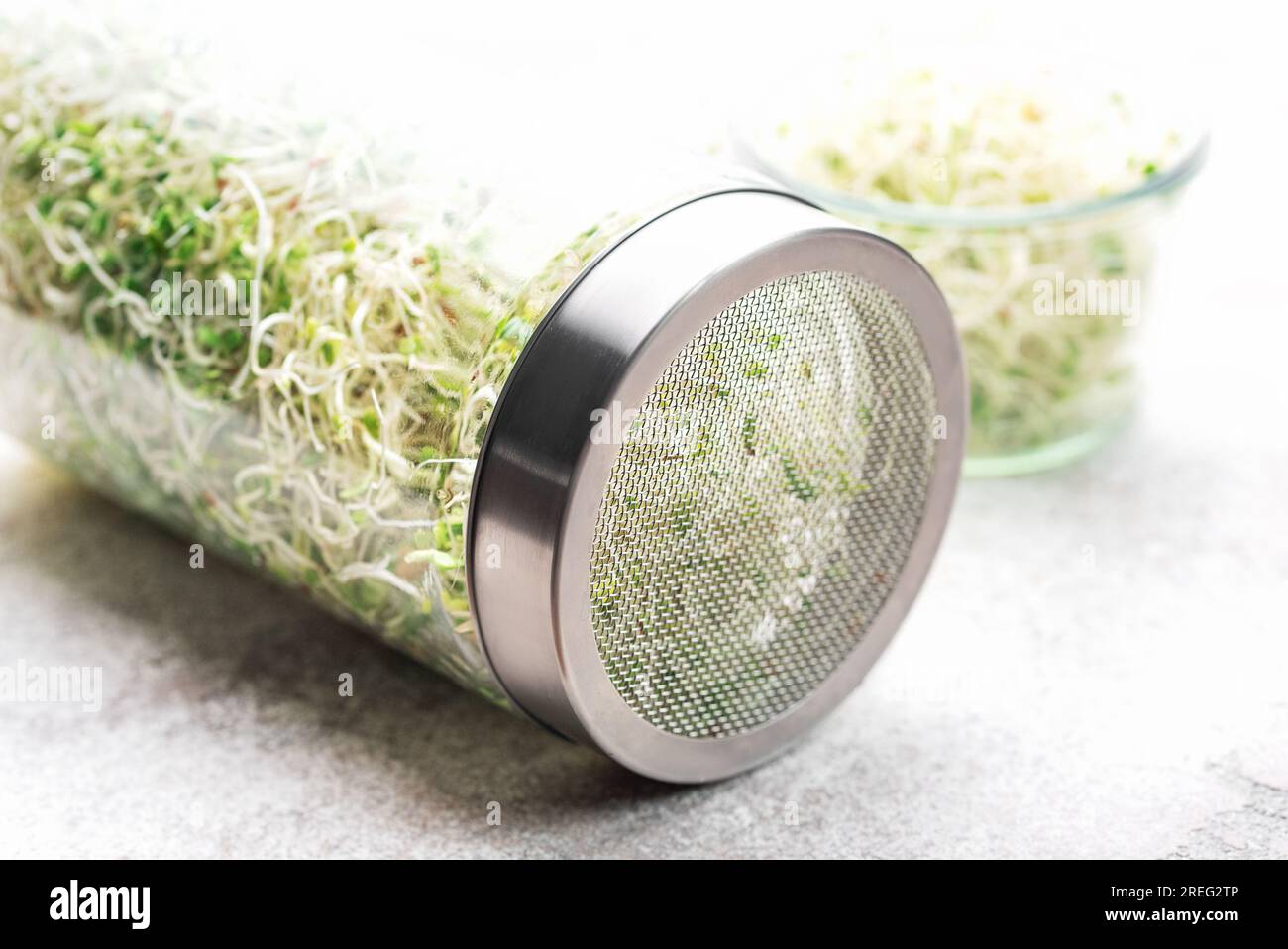 Microgreens grown in a jar. Healthy Eating Stock Photo - Alamy