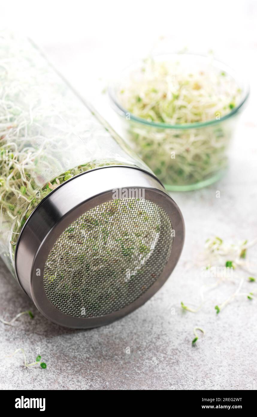 Microgreens grown in a jar. Healthy Eating Stock Photo - Alamy
