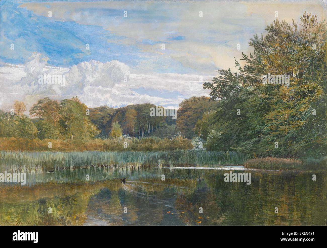 The Mill Pond, Evelyn Woods 1860 by George Vicat Cole Stock Photo - Alamy