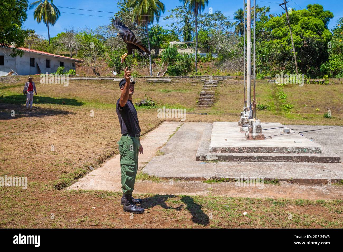 An officer from the Panama police force is feeding a common blackhawk ...