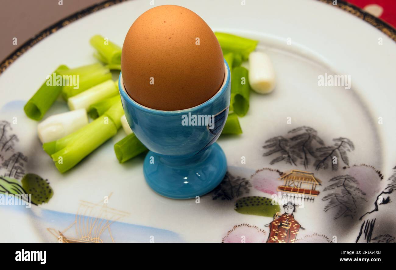 breakfast food, boiled egg, eggs, chopped spring onions, on a hand ...