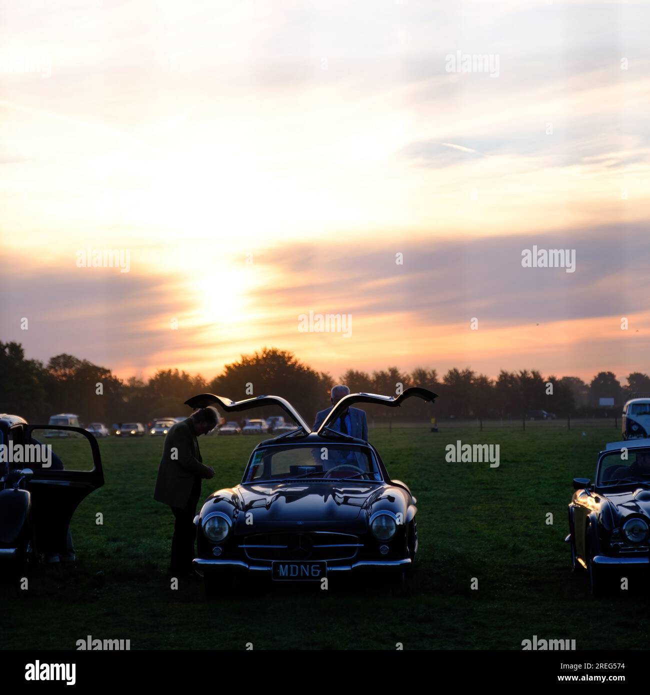 1955 mercedes benz 300 sl hi-res stock photography and images - Alamy