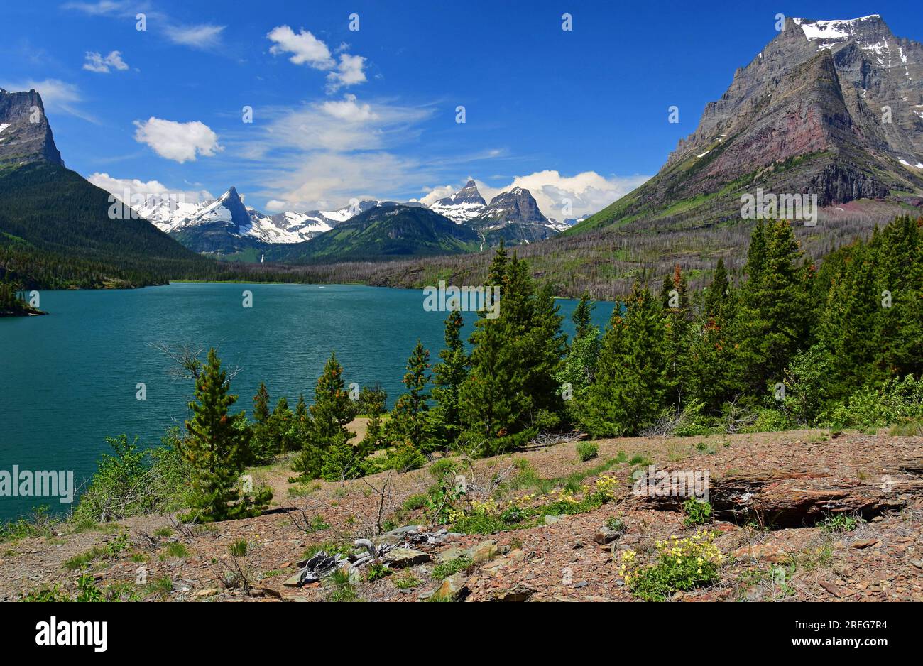 spectacular panorama of fusillade mountain and gunsight ridge from sun ...