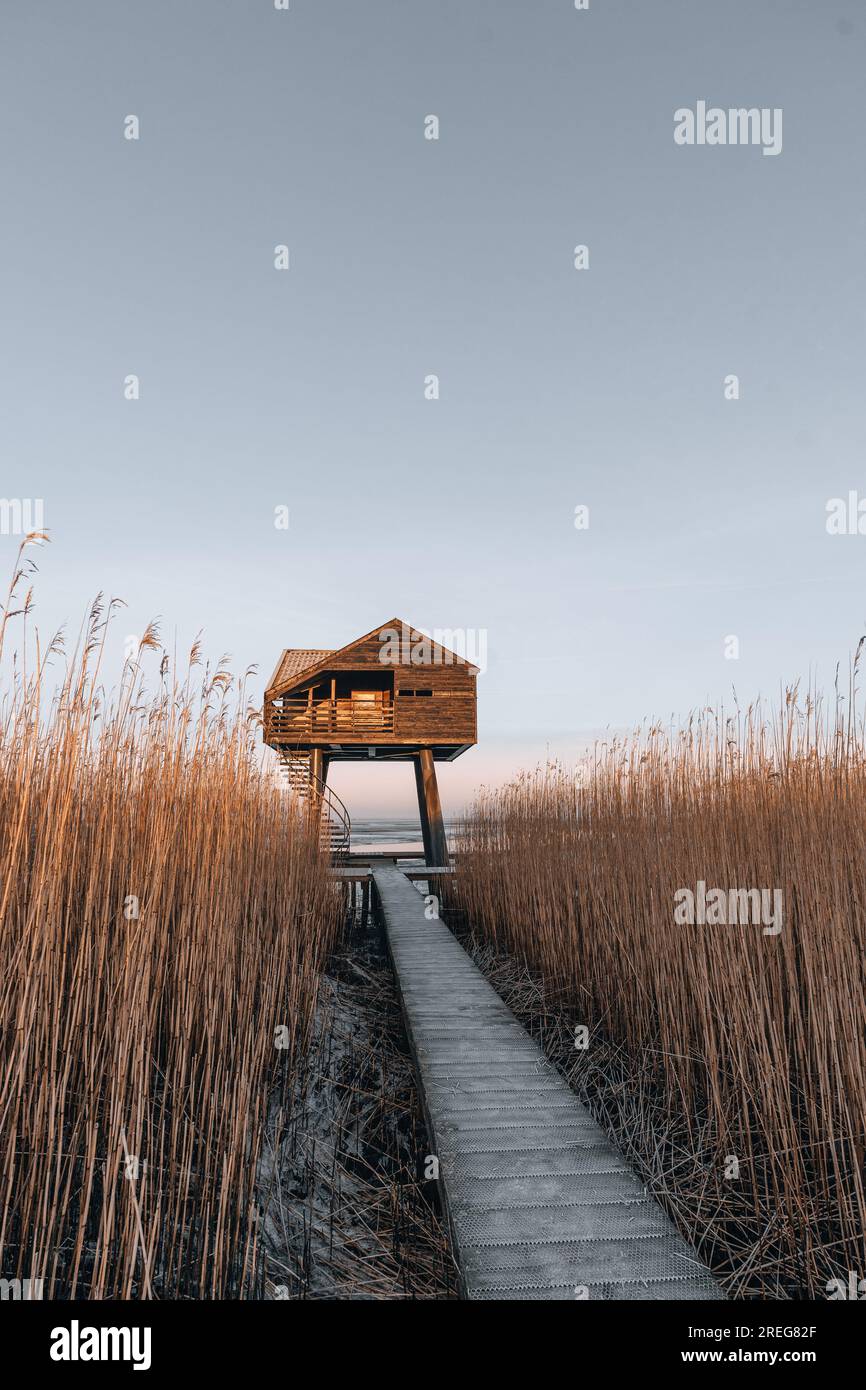 Sunrise photo of Kiekkaaste Bird Observatory in The Netherlands at ...