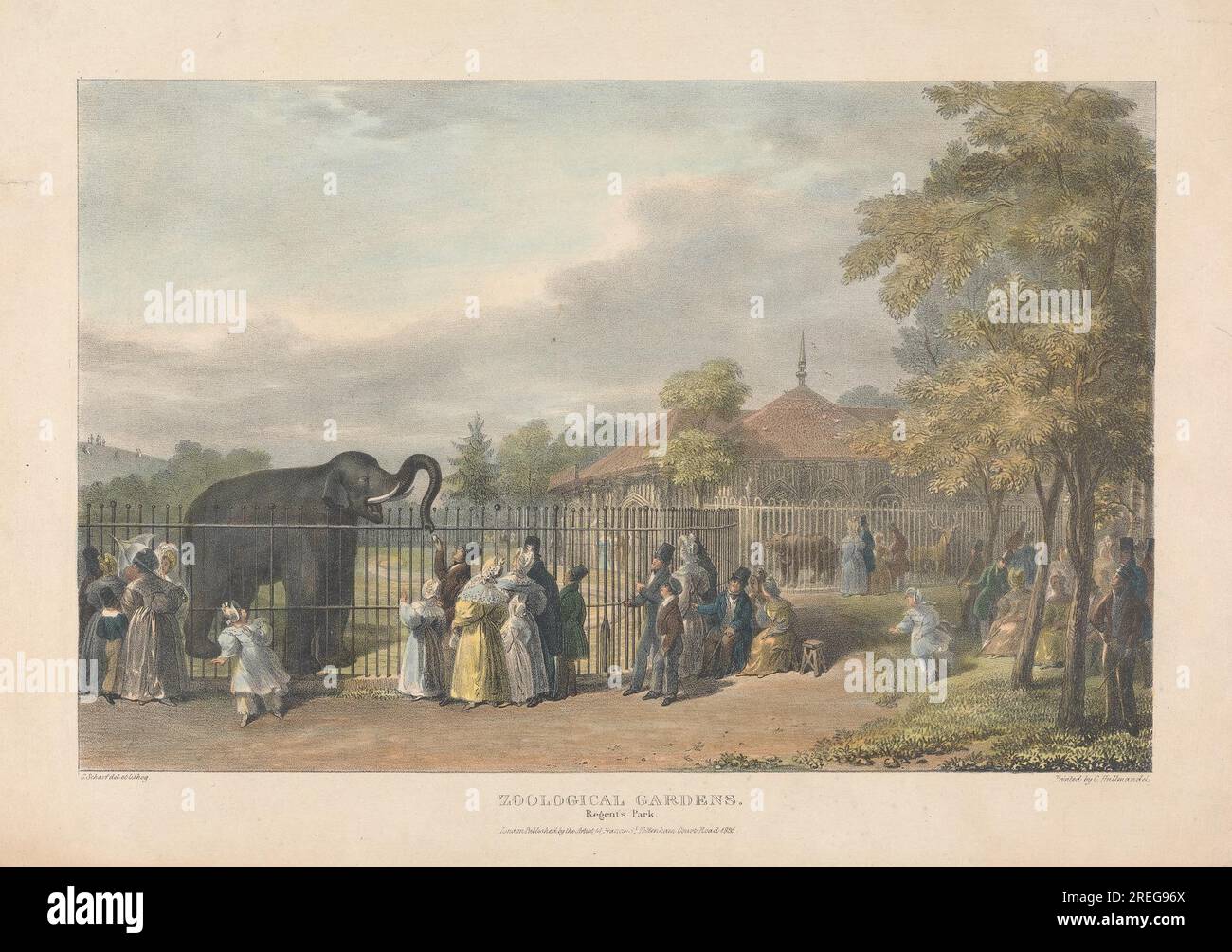Zoological Gardens, Regent's Park 1835 by George Johann Scharf Stock ...