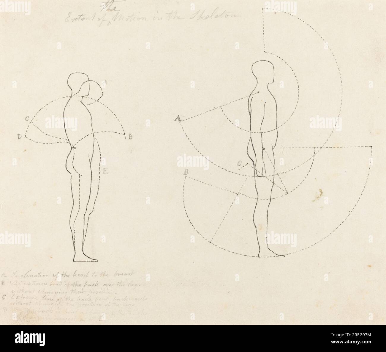 "George Scharf after John Flaxman, Extent of Motion Shown in Two ...