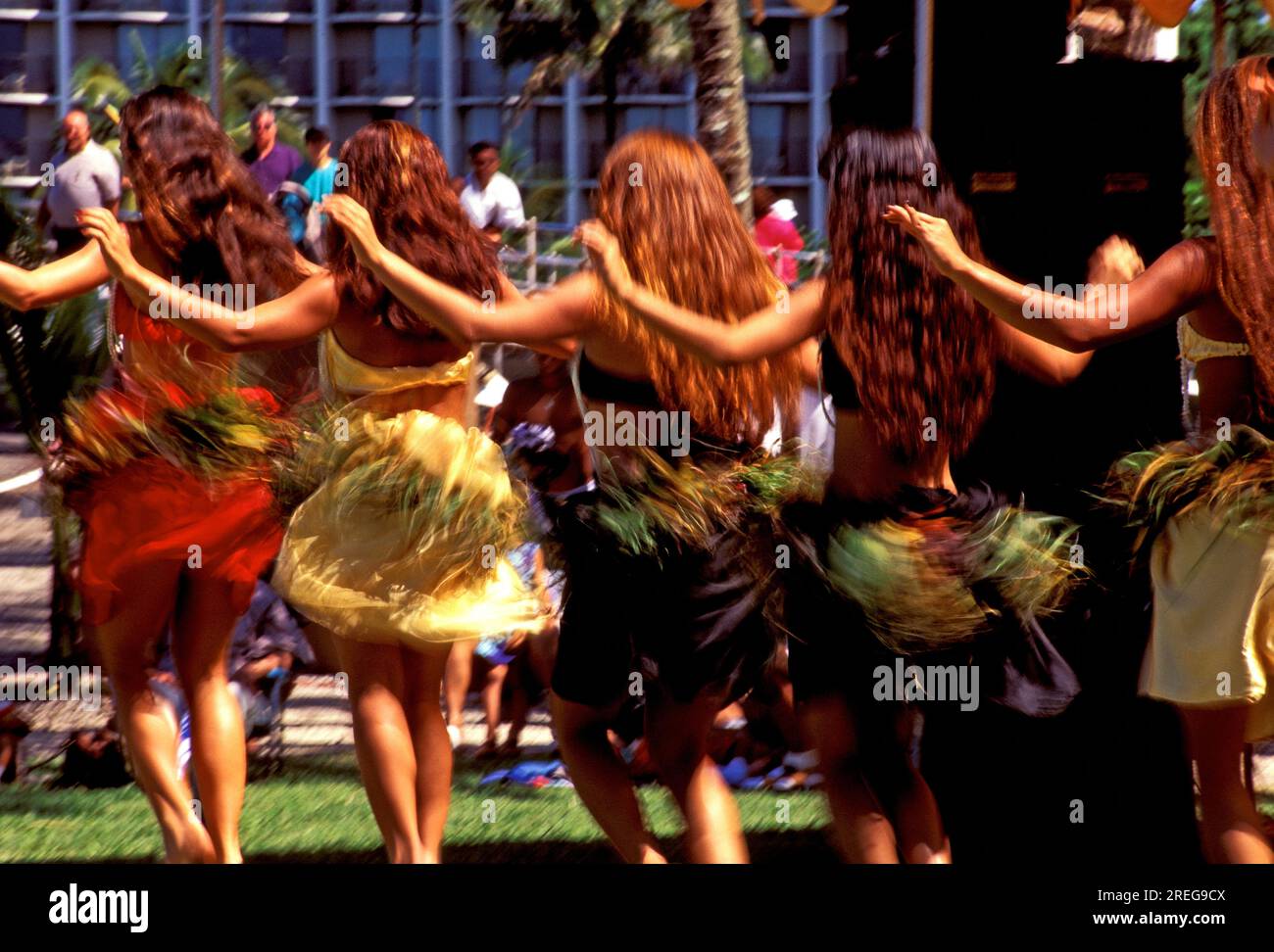 Back view of a row of Tahitian dancers with their arms extended and ...