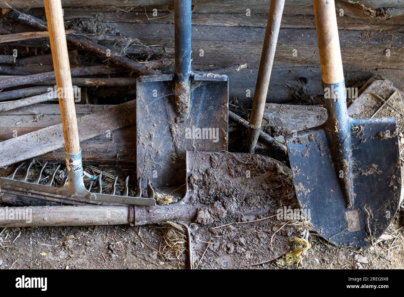 Farm tools leaning against a wall in a barn Stock Photo - Alamy