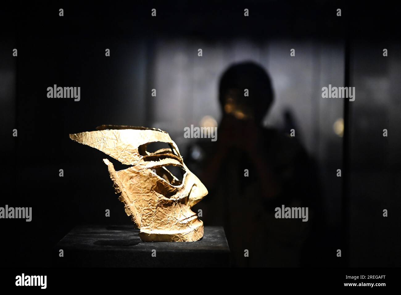 **CHINESE MAINLAND, HONG KONG, MACAU AND TAIWAN OUT** A visitor takes ...