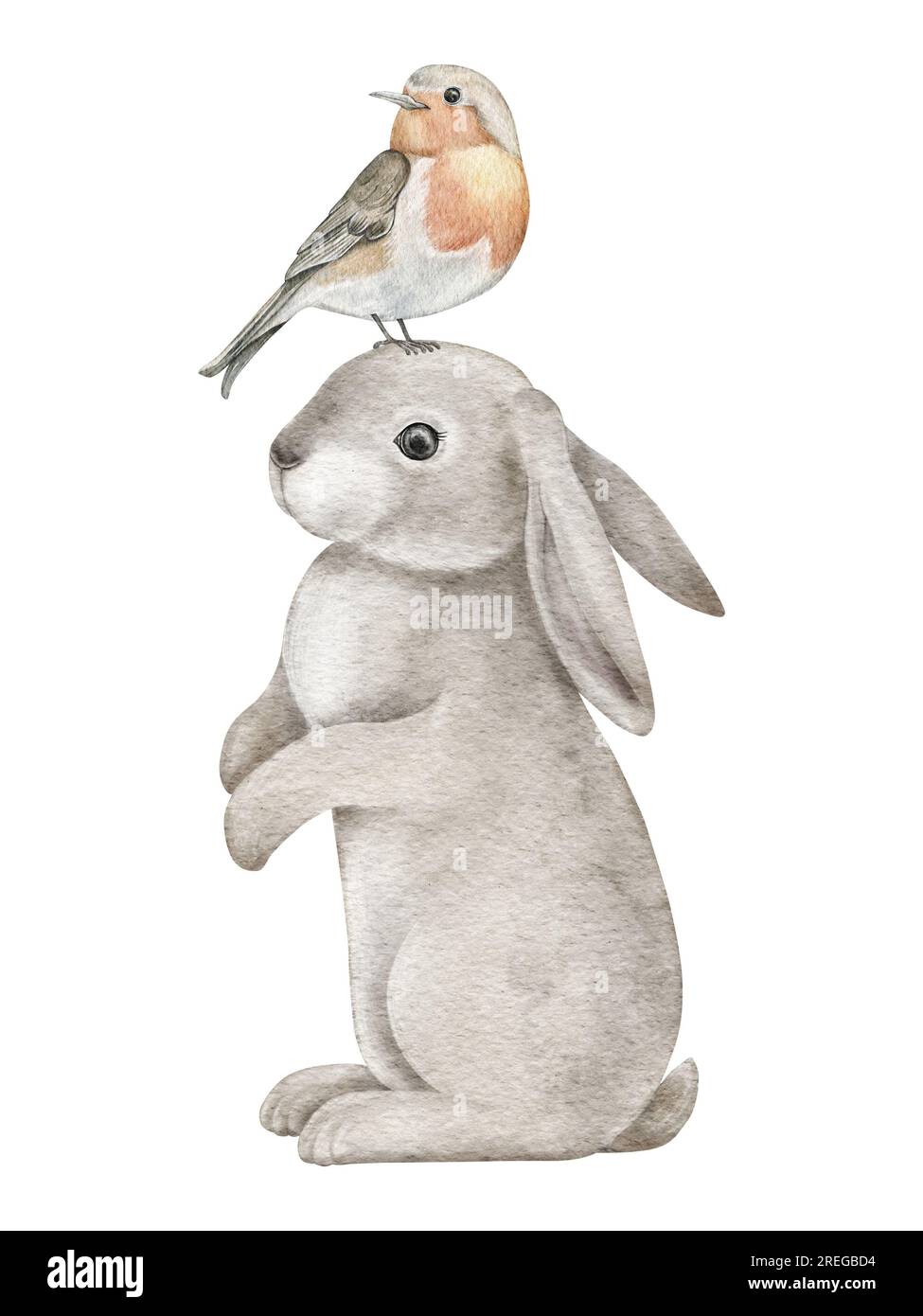 Watercolor woodland Robin bird and bunny. Hand drawn Beautiful song ...