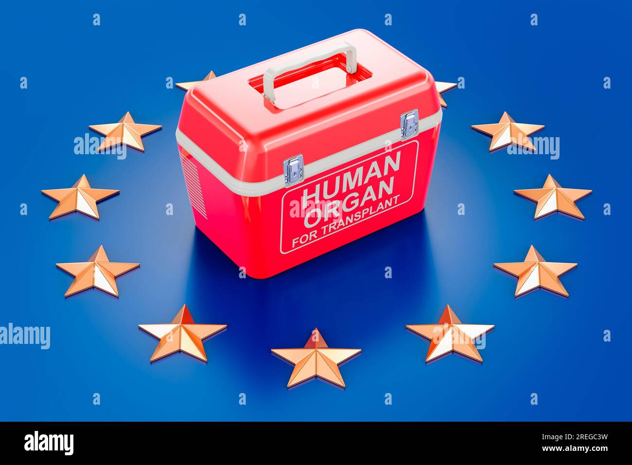 Portable fridge for transporting donor organs on the European Union ...