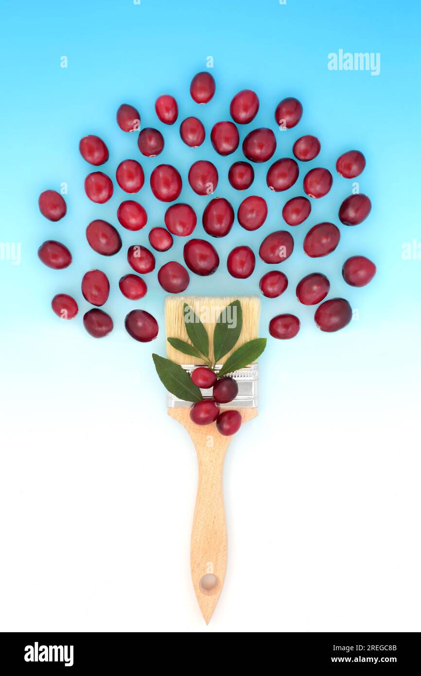 Cranberry fruit fantasy health food surreal paintbrush design on ...