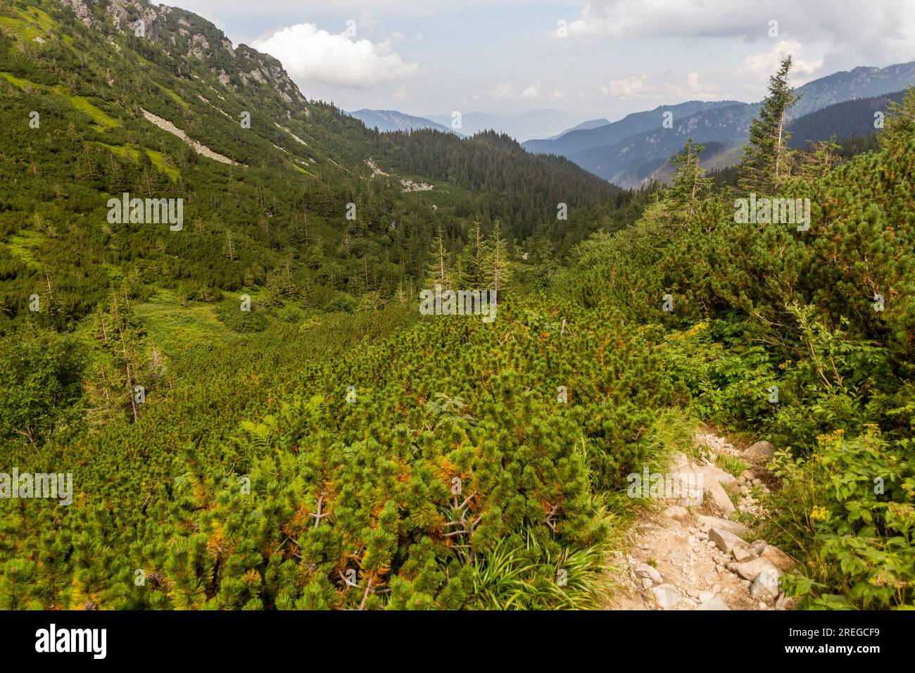 Landscape of Siroka dolina valley in Nizke Tatry mountains, Slovakia ...