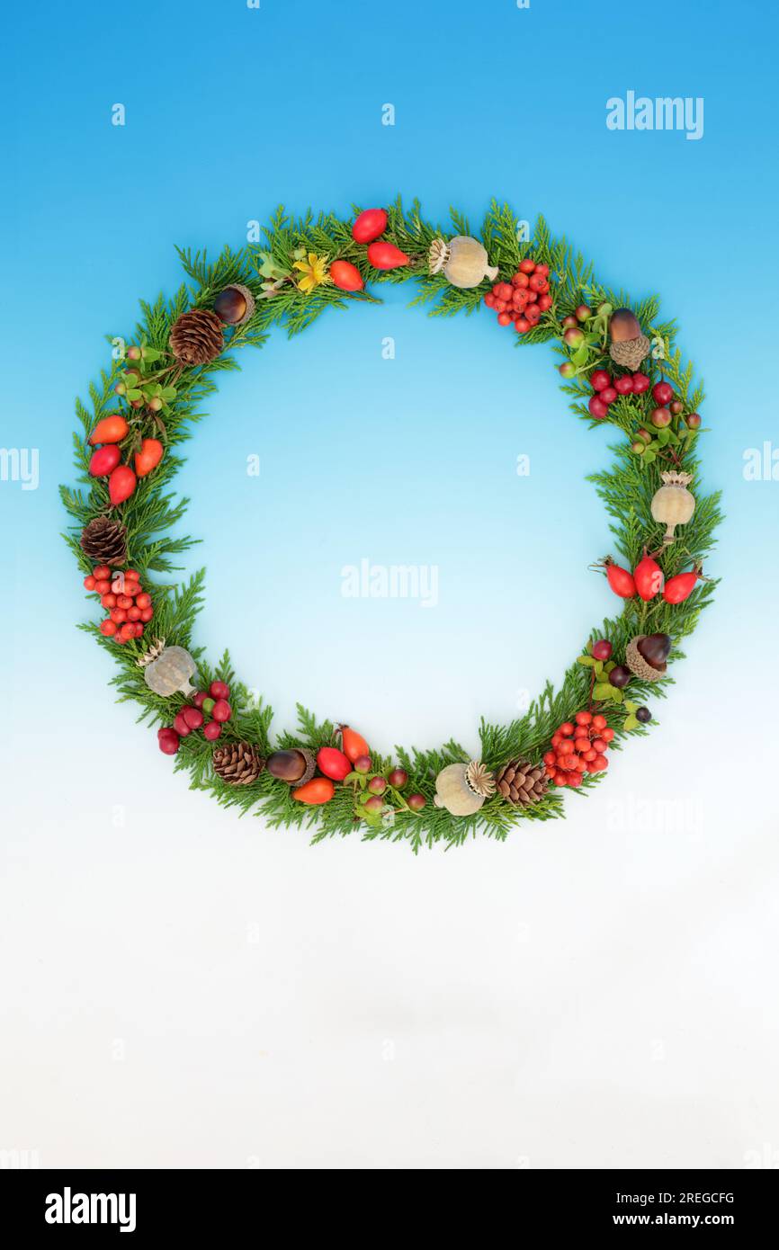 Autumn Fall Thanksgiving nature wreath with leaves, berry fruit, nuts ...