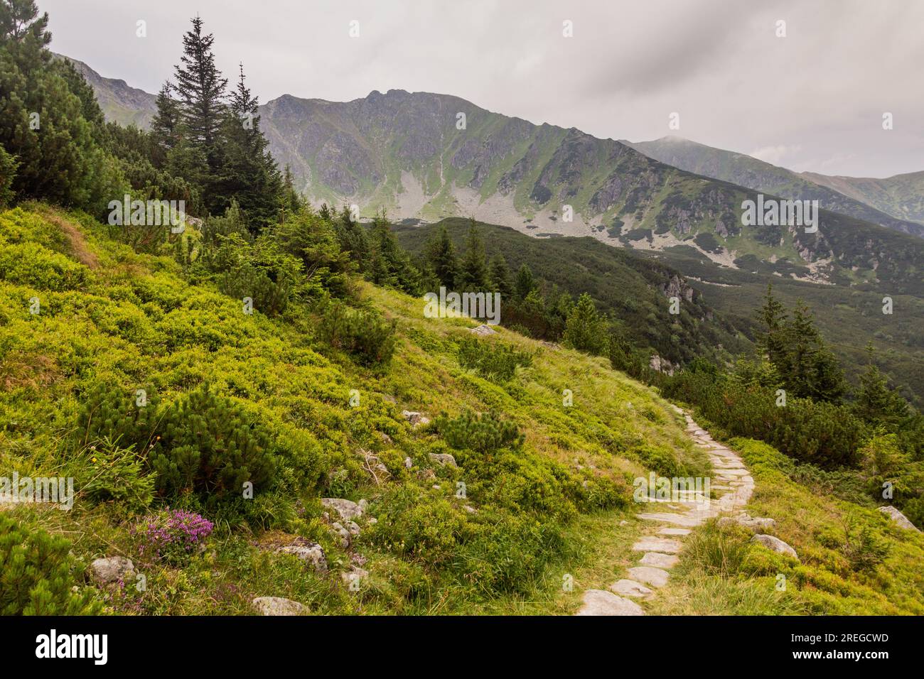 Hiking trail in Nizke Tatry mountains, Slovakia Stock Photo - Alamy