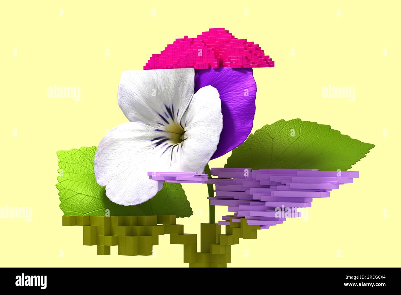 3d glitch of flower viola. NFT concept. 3d illustration Stock Photo - Alamy