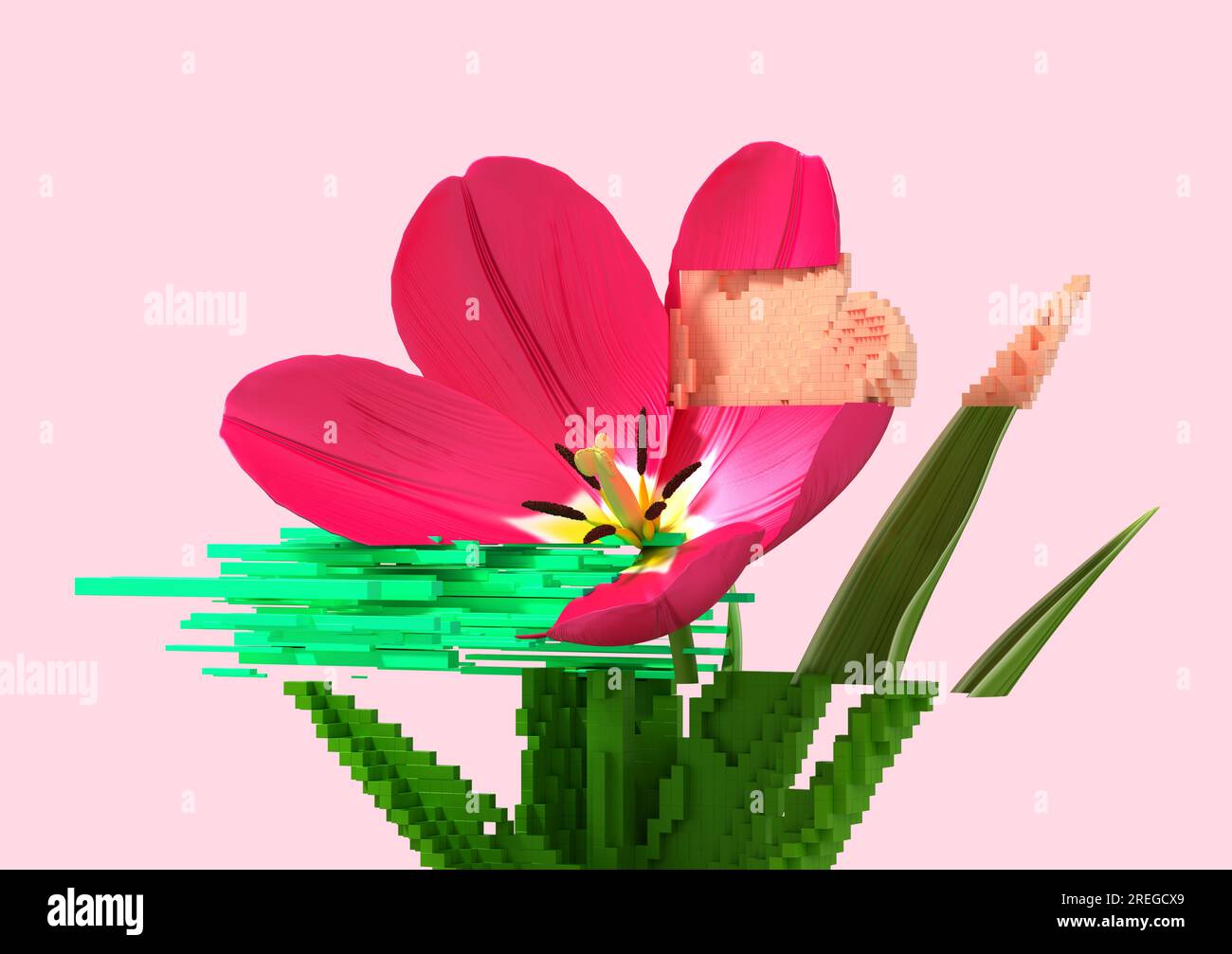 3d glitch of flower tulip. NFT concept. 3d illustration Stock Photo - Alamy