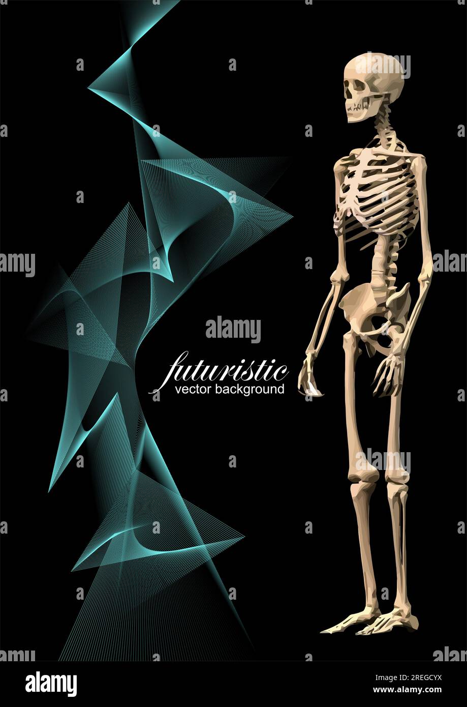 Abstract futuristic background with skeleton image. Vector 3d ...